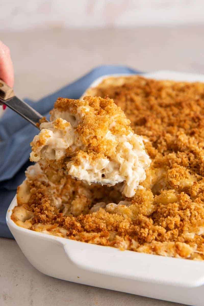 Creamy Mac and Cheese with Cream Cheese | Everyday Family Cooking