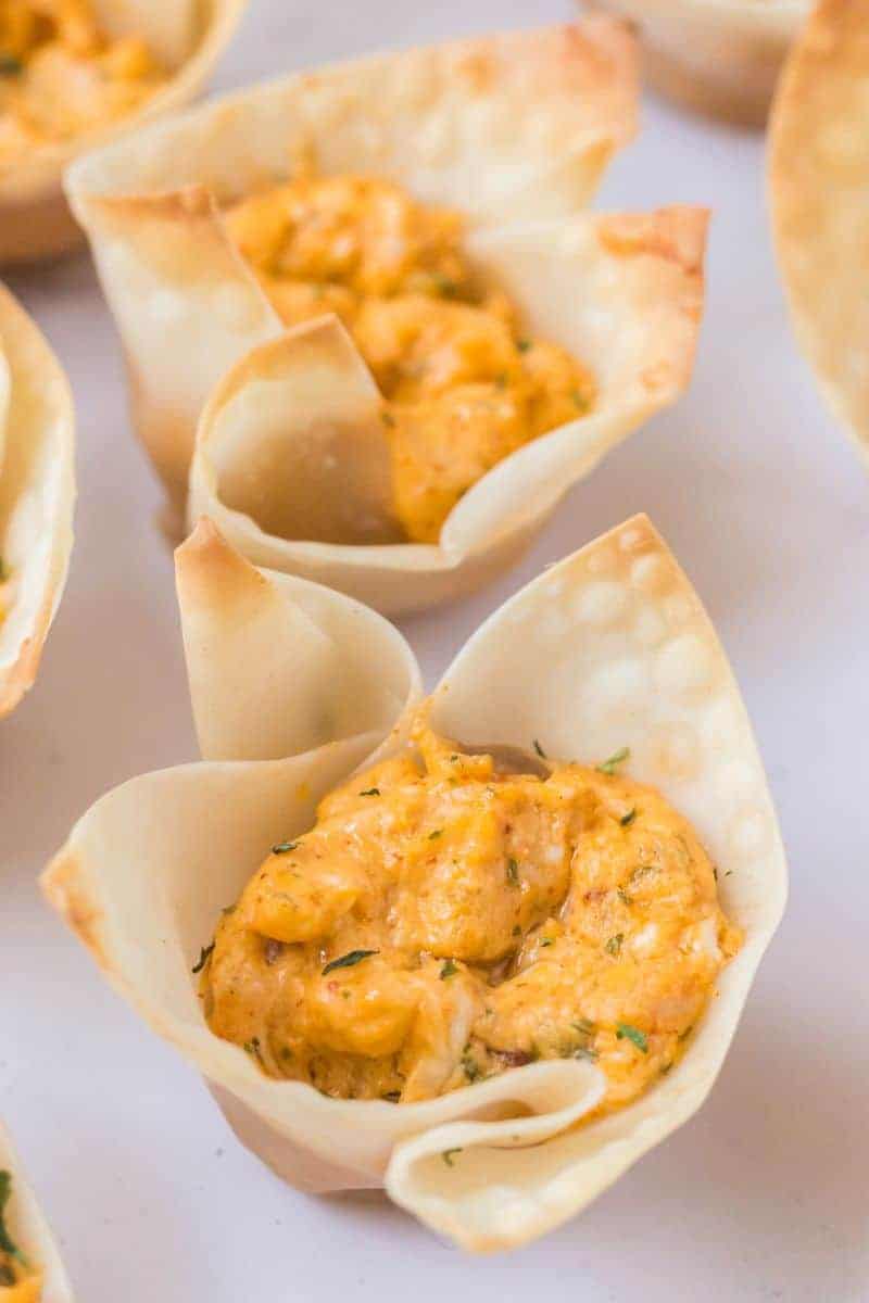 Buffalo Chicken Wontons | Everyday Family Cooking