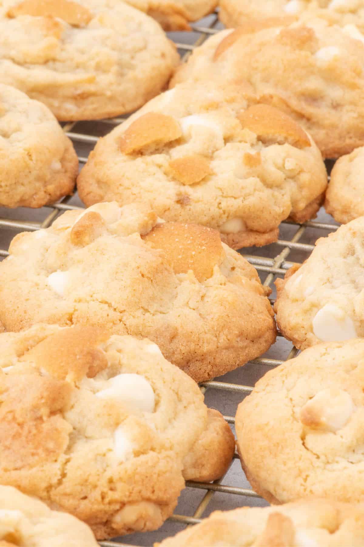 Easy Banana Pudding Cookies | Everyday Family Cooking