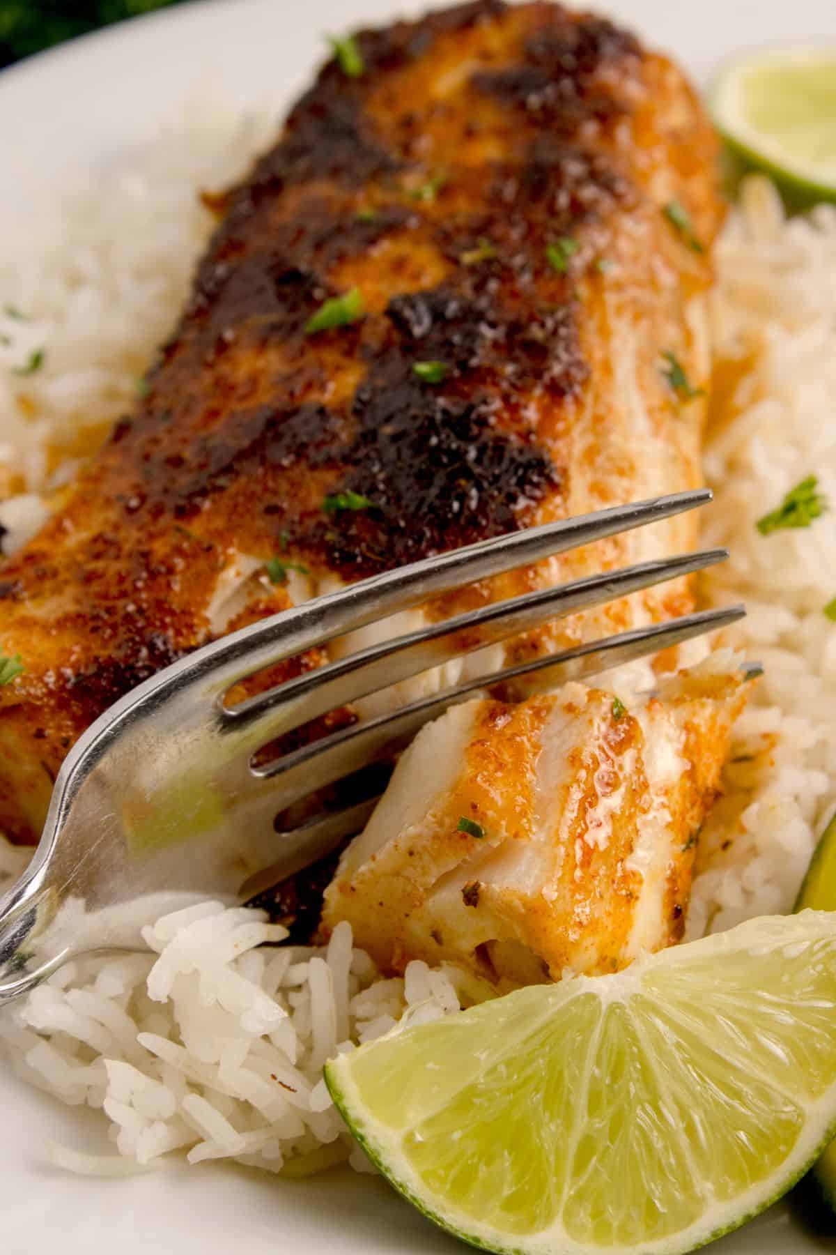 Easy Blackened Mahi Mahi | Everyday Family Cooking